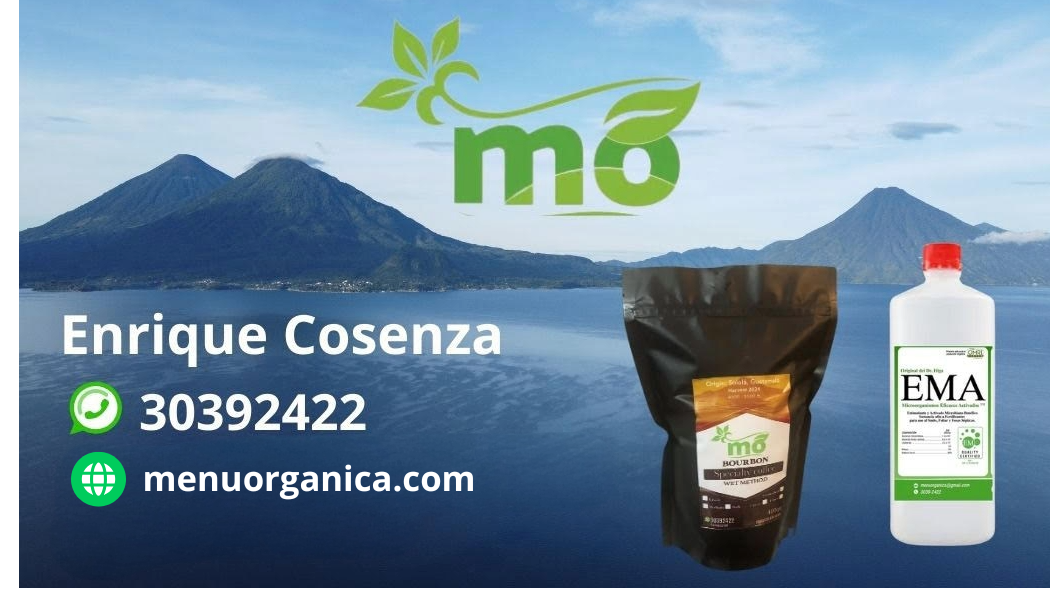 Aplicaciones De Los Microorganismos Eficientes > Menúorganica